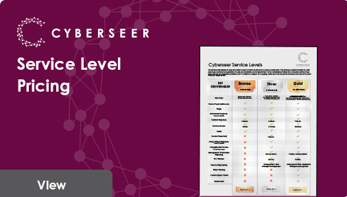 Pricing and Packages - Cyberseer